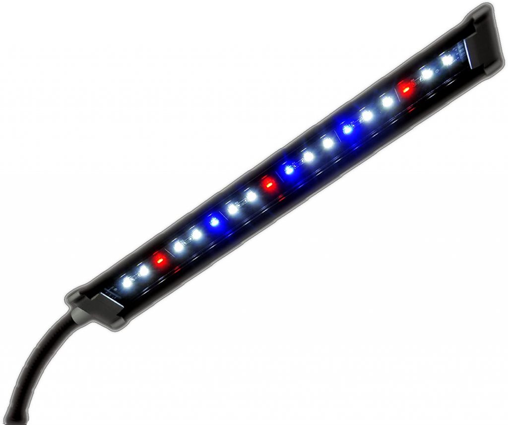 Finnex StingRay LED Clip Light for Aquarium – Superior Pets – Wholesale ...