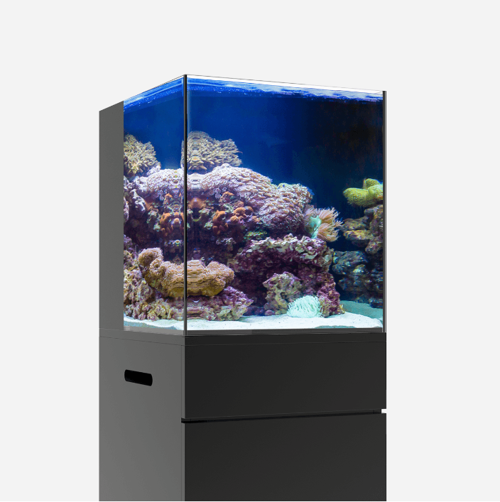JBJ NRL All-In-One Aquariums - Superior Pets - Wholesale Aquarium Supplies